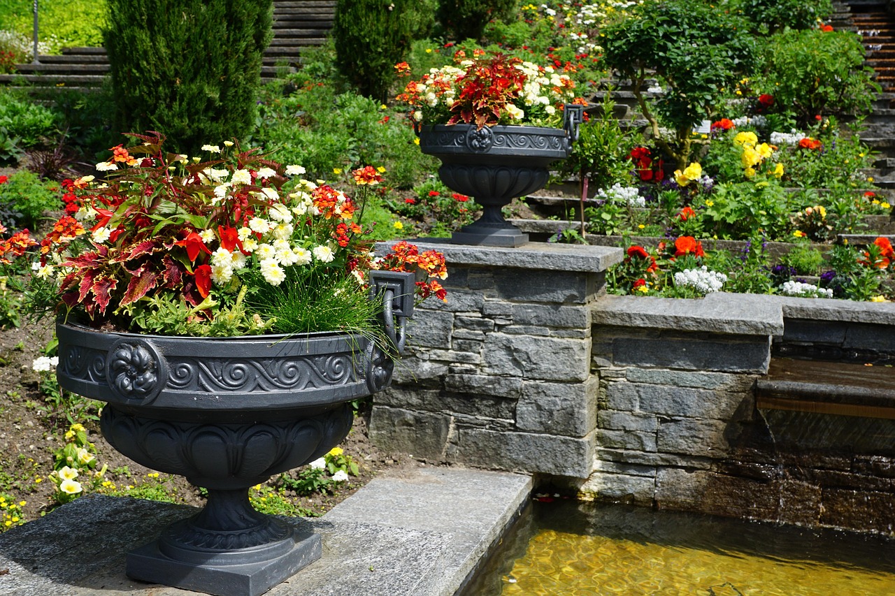 Garten Natur Blumen - Kostenloses Foto auf Pixabay - Pixabay