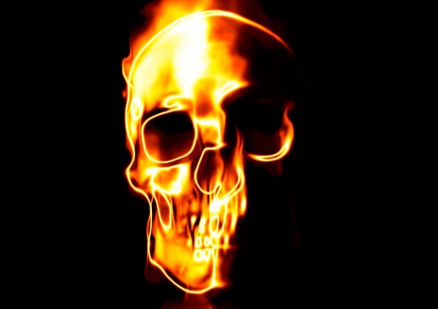 7,000+ Skull Pictures & Images [HD] - Pixabay