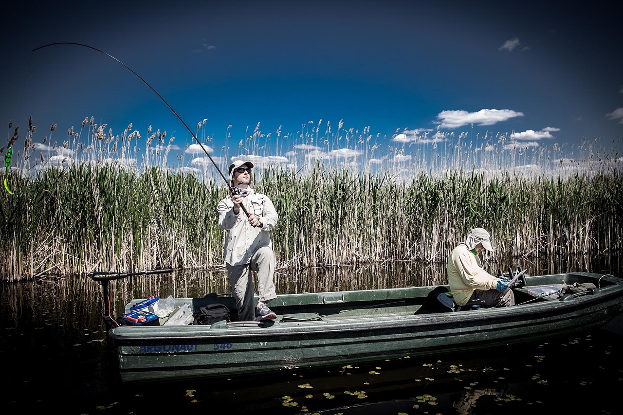 Fisherman Fishing Men Casting - Free photo on Pixabay - Pixabay