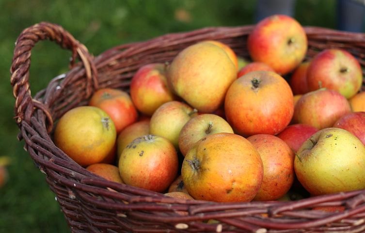 200+ kostenlose Obstkorb und Obst-Bilder - Pixabay