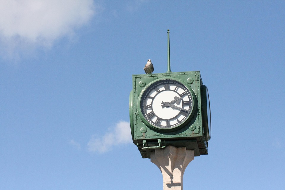 Jam Burung Laut Langit Blue - Foto gratis di Pixabay - Pixabay