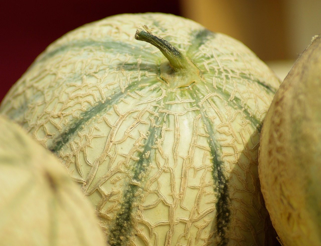 Más de 700 fotos de Melones y Melón gratis - Pixabay