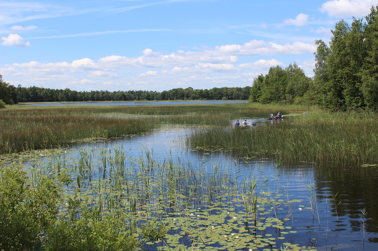 Nature Lake Sweden - Free photo on Pixabay