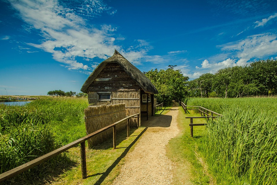 Country Nature The - Free photo on Pixabay