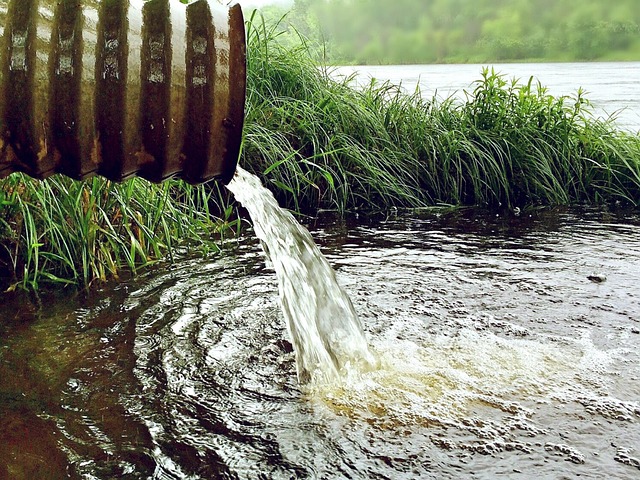 Water Environment Nature - Free photo on Pixabay