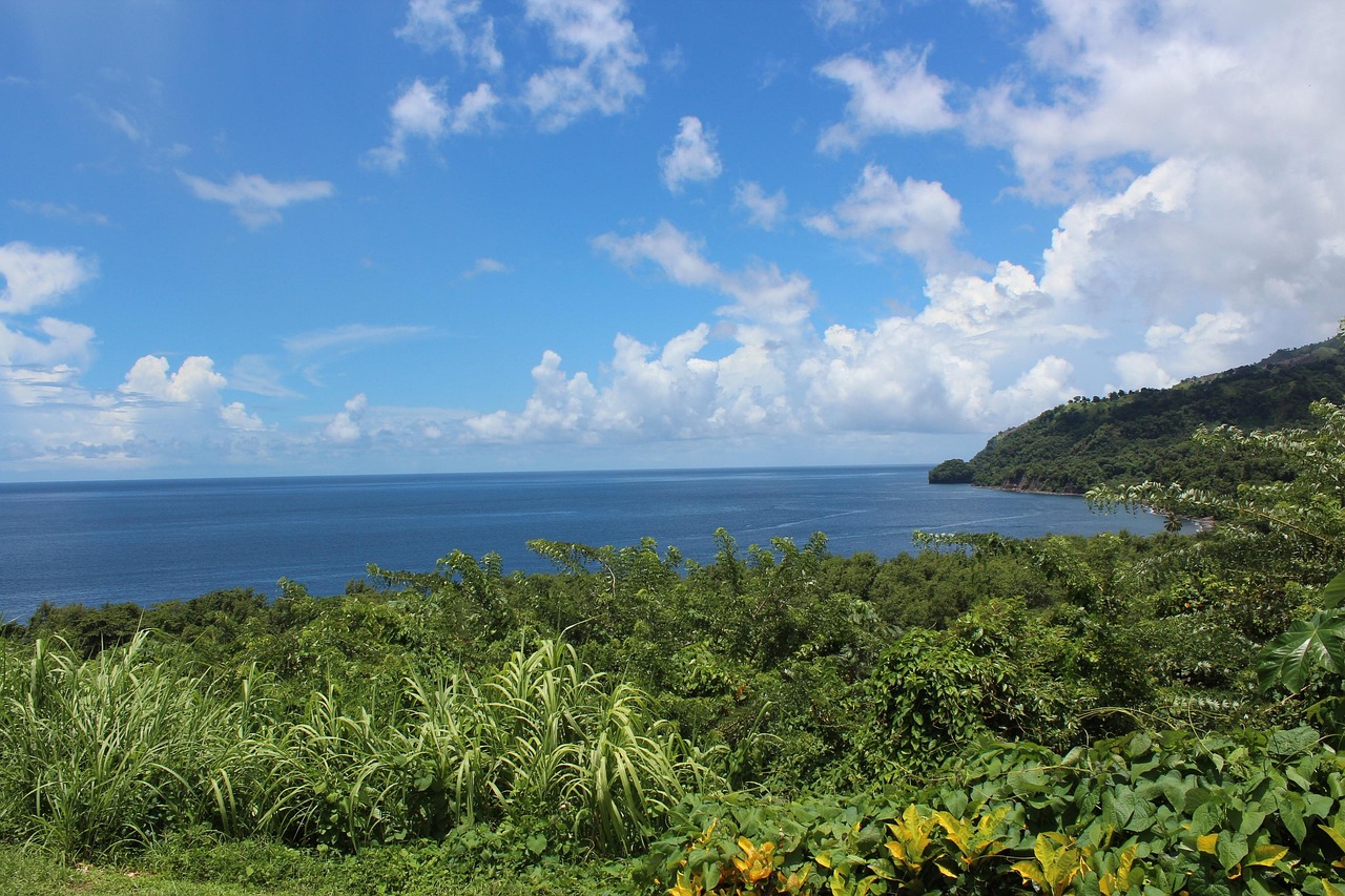 La Nature Mer Caraïbes - Photo gratuite sur Pixabay - Pixabay