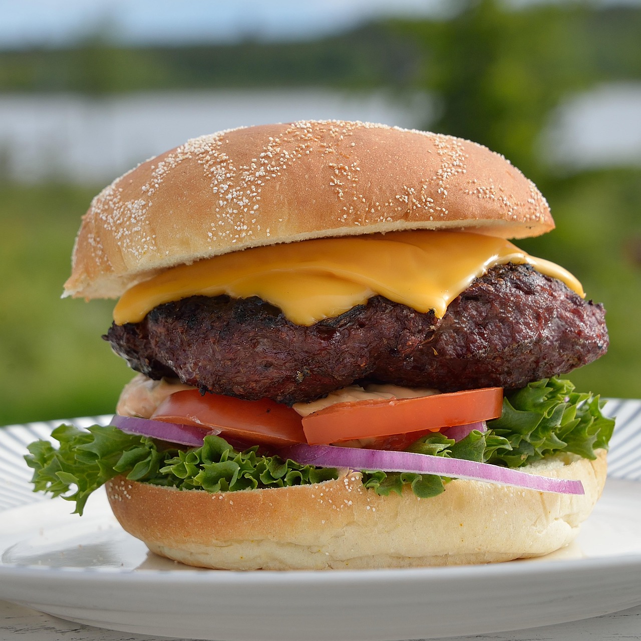 Hamburger Grill Good Free Photo On Pixabay