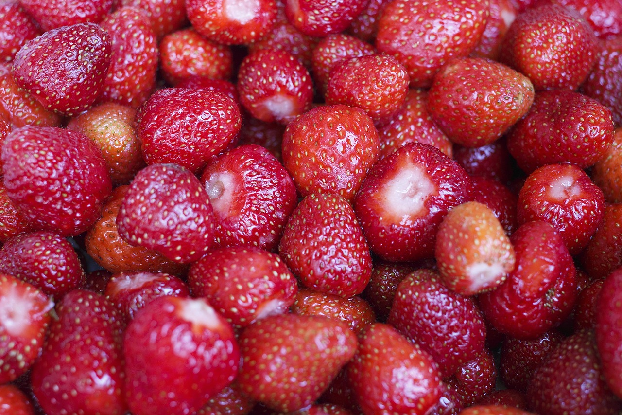 Fraise Baie Plante Fraises - Photo gratuite sur Pixabay - Pixabay