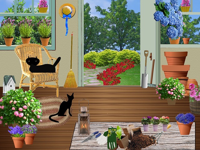 20,000+ Free Cat Shedding & Pet Images - Pixabay