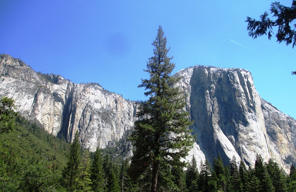 Taman Nasional Yosemite El Capitan - Foto gratis di Pixabay - Pixabay