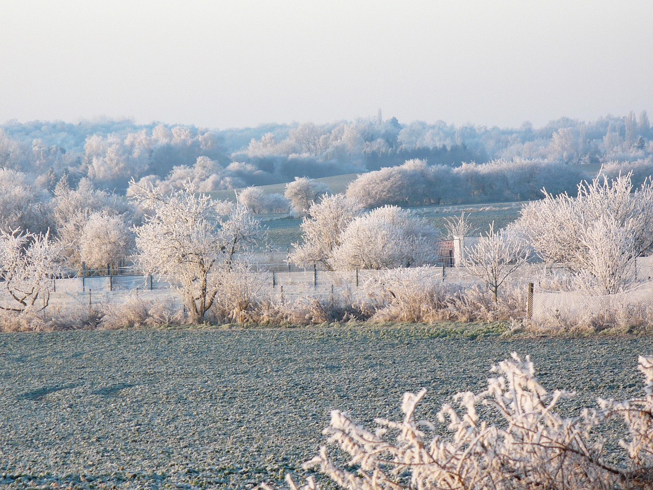 La Nature Gel Glacé - Photo gratuite sur Pixabay - Pixabay
