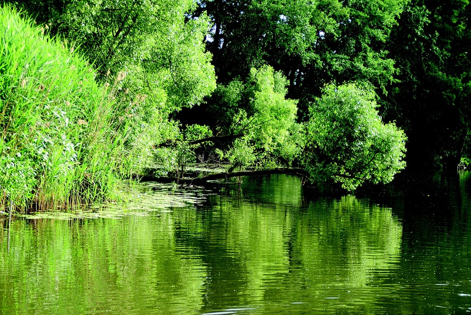Paisaje Del Lago Día De Verano - Foto gratis en Pixabay - Pixabay