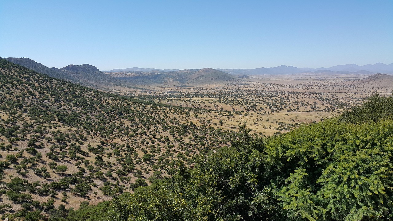 Plus de 10 images de Argan et de Maroc - Pixabay
