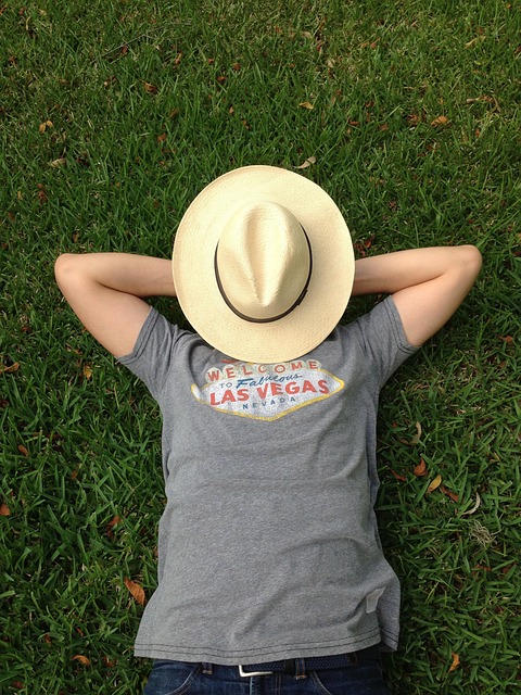 Grass Summer Nap - Free photo on Pixabay