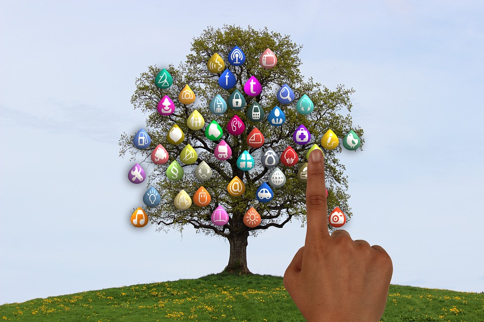Tree Structure Networks - Free image on Pixabay