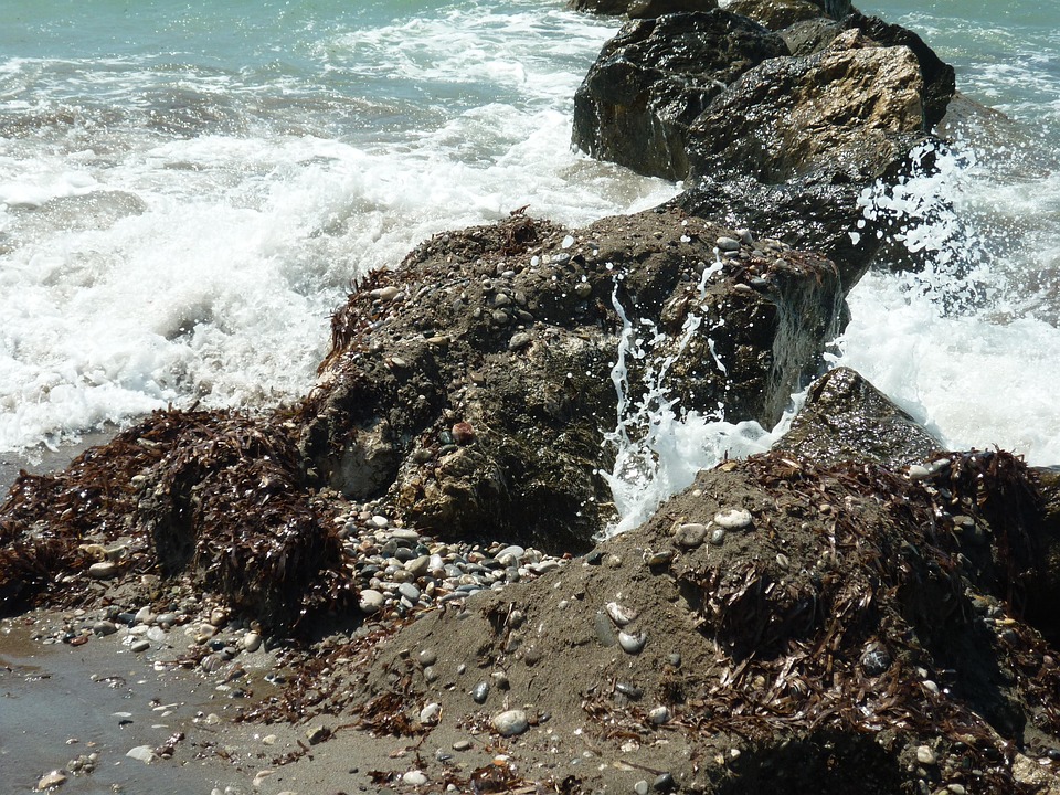 Wild Water Splash - Free photo on Pixabay - Pixabay