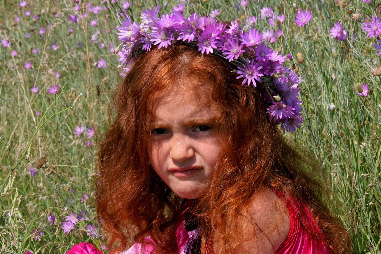 Visage Couronne Cheveux Roux - Photo gratuite sur Pixabay - Pixabay