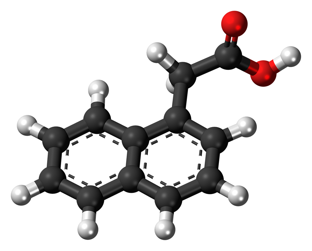 40+ Free Hormons & Hormone Images - Pixabay