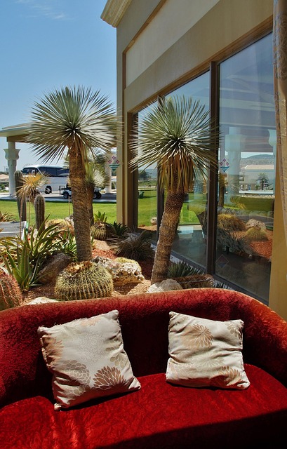 Window View From The Sofa - Free photo on Pixabay