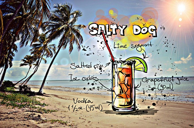 Download Salty Dog, Cocktail, Nature. Royalty-Free Stock Illustration ...