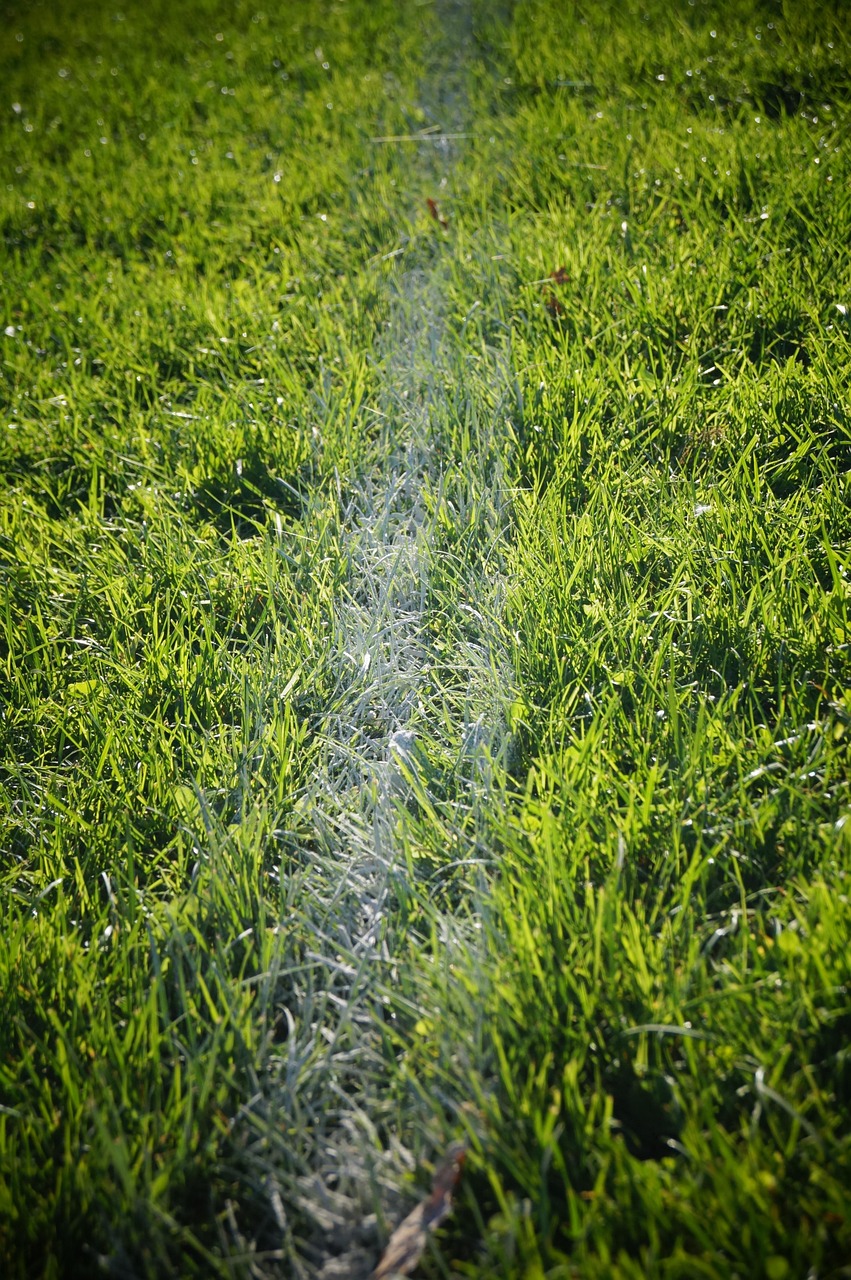 Court Lines - Free photo on Pixabay - Pixabay