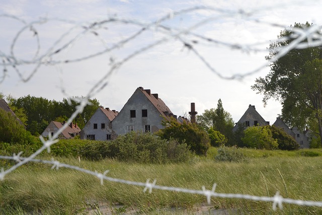 Barbed Wire Expired - Free photo on Pixabay - Pixabay