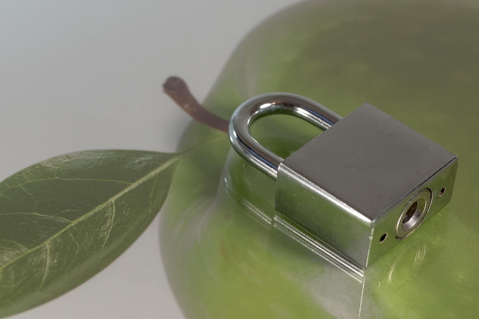 Castle Security Padlock - Free photo on Pixabay - Pixabay Castle Security Padlock - Free photo on Pixabay - Pixabay