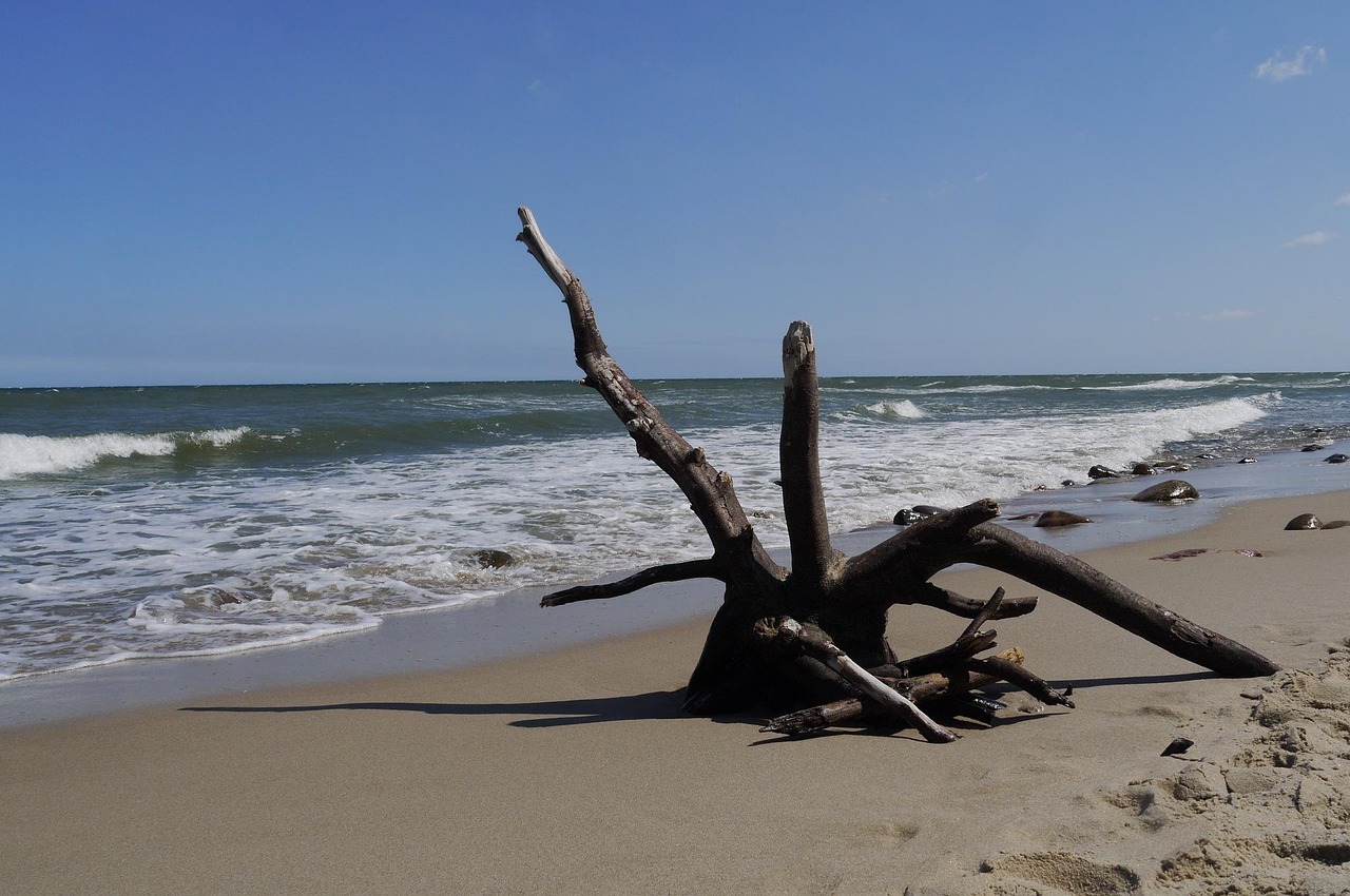 La Mer Baltique L'Eau Plage - Photo gratuite sur Pixabay - Pixabay