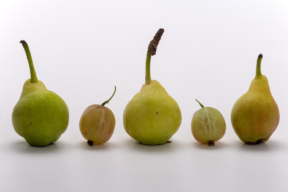 Fruit Pears Macro - Free photo on Pixabay - Pixabay