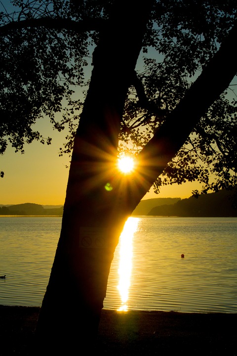 Sunrise Lake Morning Mood - Free photo on Pixabay - Pixabay