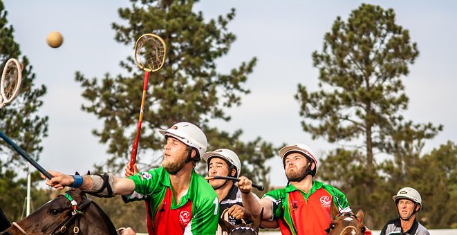 30+ Free Polo Game & Polo Images - Pixabay