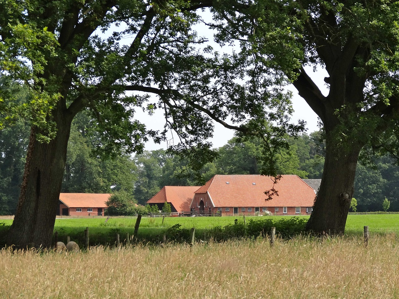 Twickel Estate Farm - Free photo on Pixabay