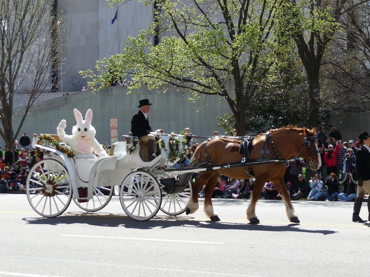 10,000+ Free Horse Easter & Easter Images - Pixabay