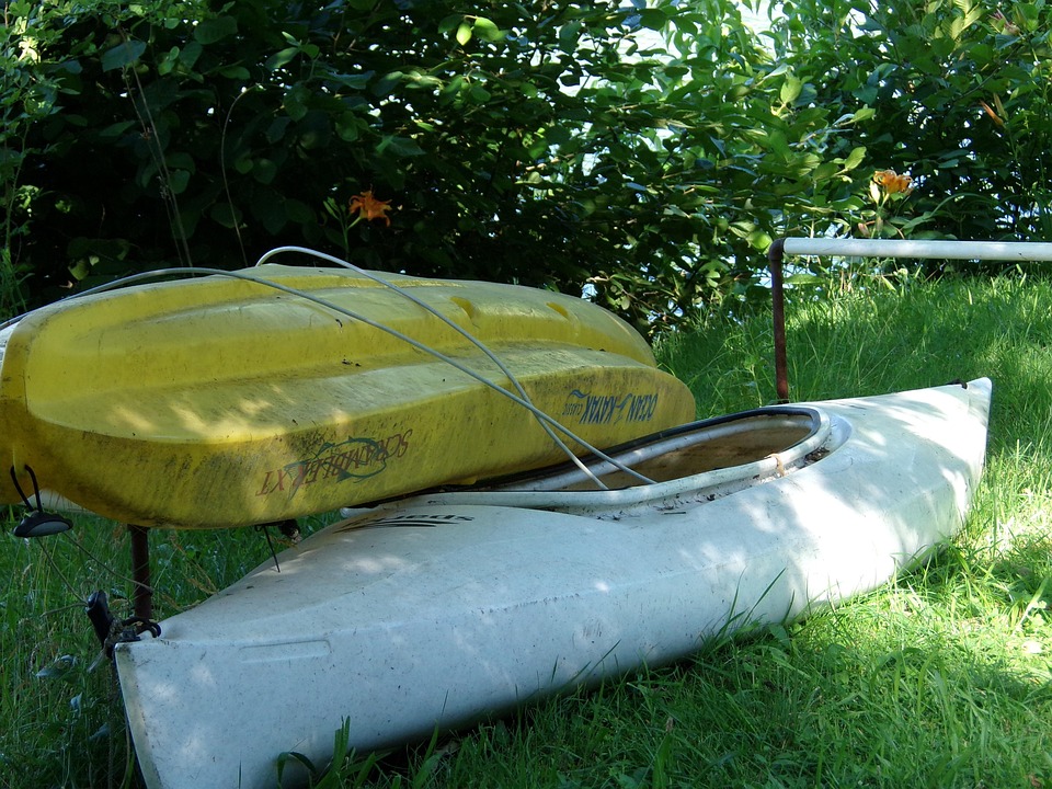 Canoa Kayac Deporte - Foto gratis en Pixabay - Pixabay