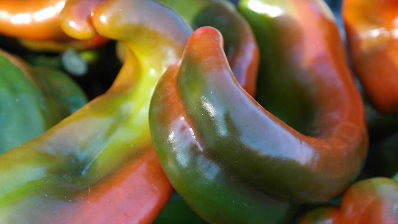 Pimenton Verduras Verde - Foto gratis en Pixabay - Pixabay