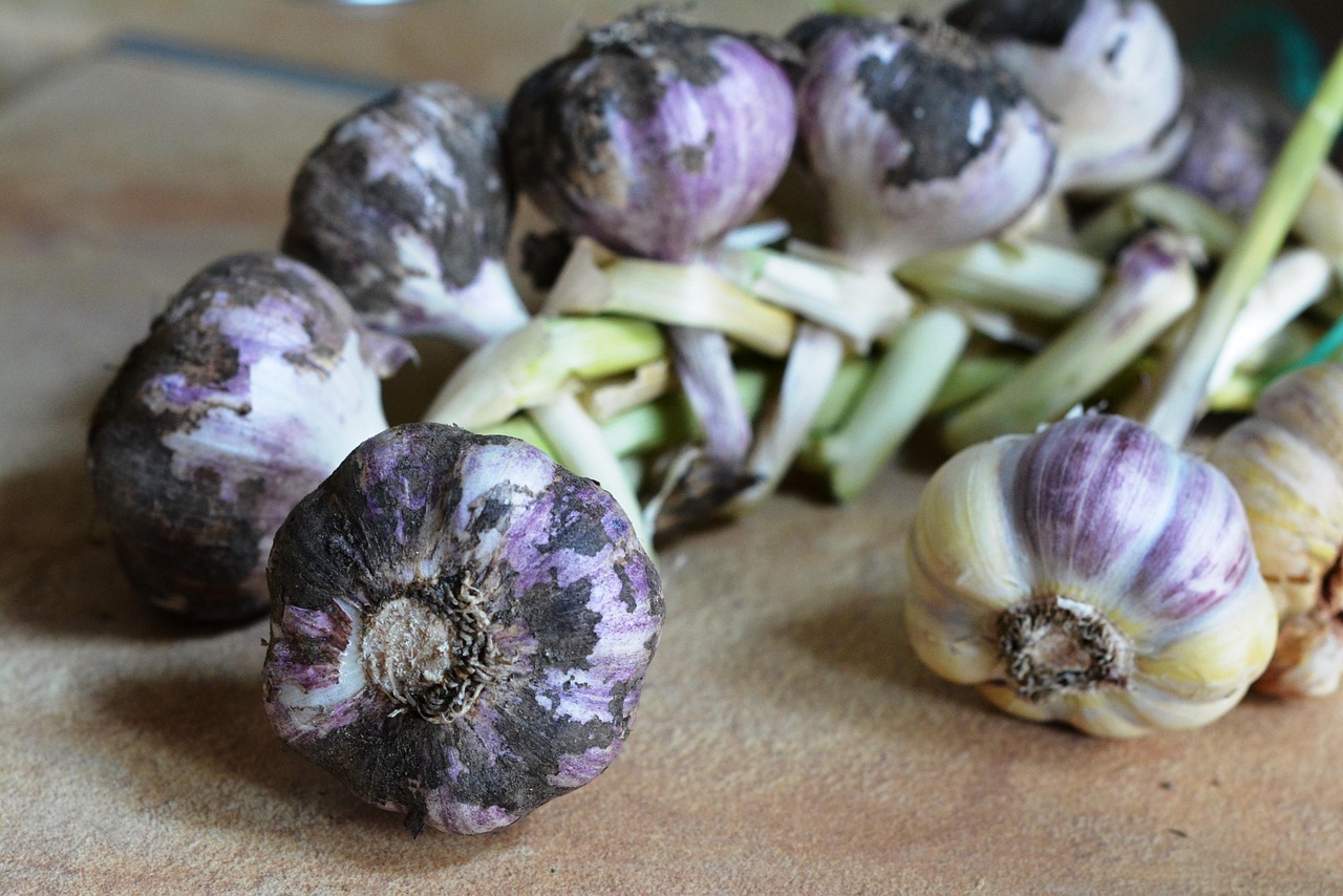 Garlic Spices Spice - Free photo on Pixabay