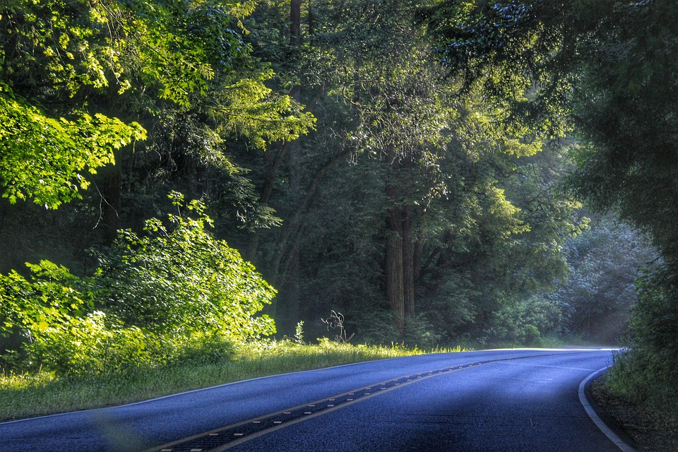 Country Road Pathway Nature - Free photo on Pixabay - Pixabay