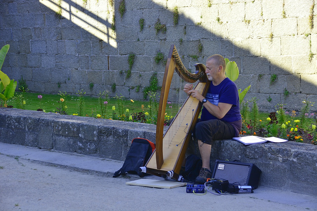 Musician Music Harp - Free photo on Pixabay - Pixabay