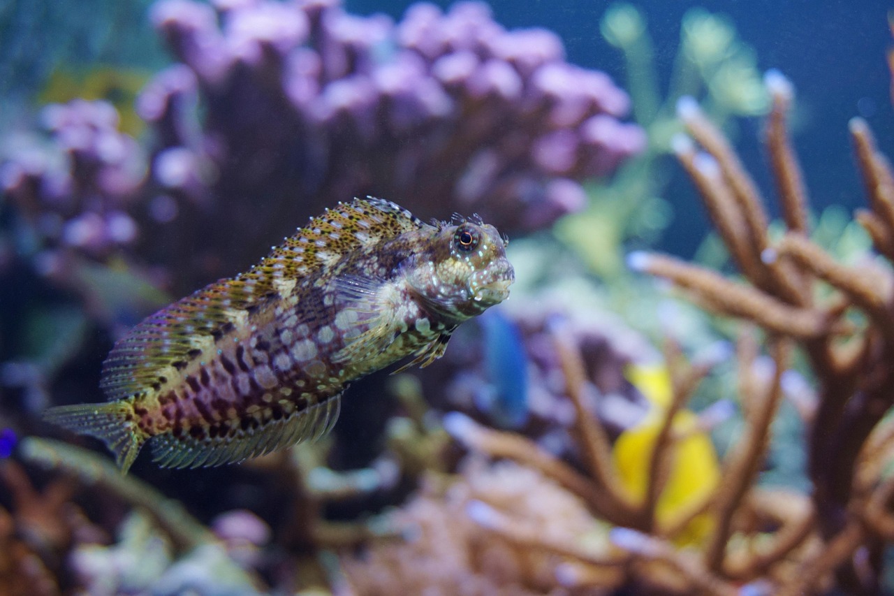 1,000+ Free Aumento Salaria & Magnification Images - Pixabay