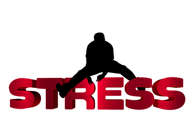 20.000+ kostenlose Stress Mann und Stress-Bilder - Pixabay
