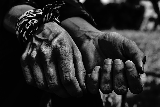 20,000+ Free Hands & Nature Photos - Pixabay
