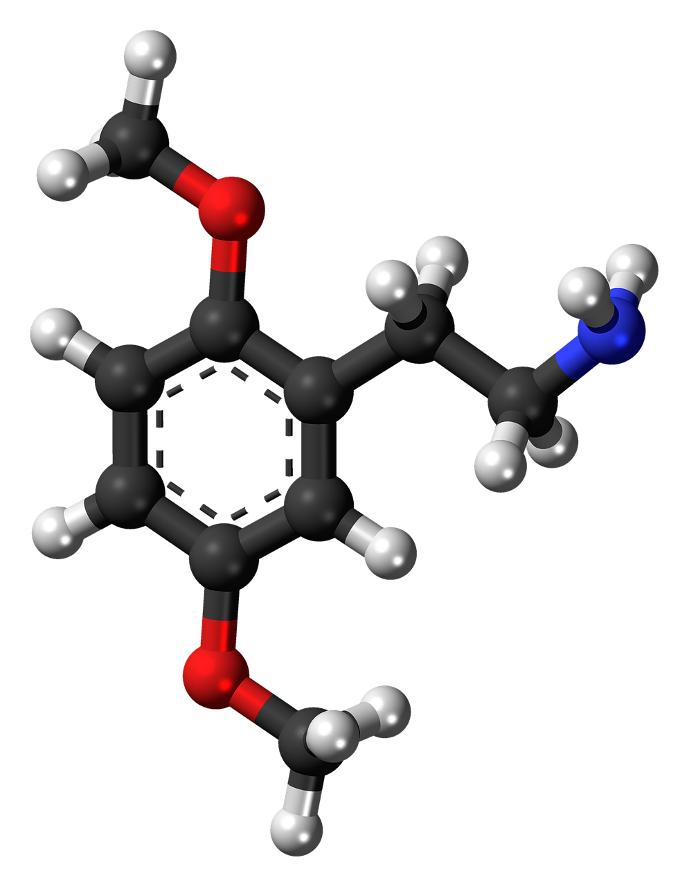 Dimetoxifenetilamina Molécula - Imagens grátis no Pixabay - Pixabay