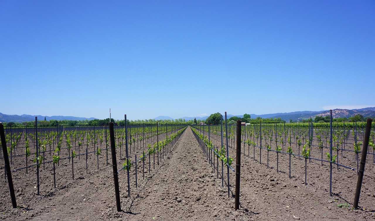 10,000+ Free Napa Farm & Nature Images - Pixabay