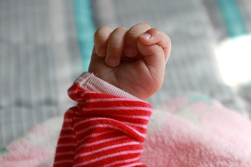 7+ Free Baby Fist & Fist Images - Pixabay
