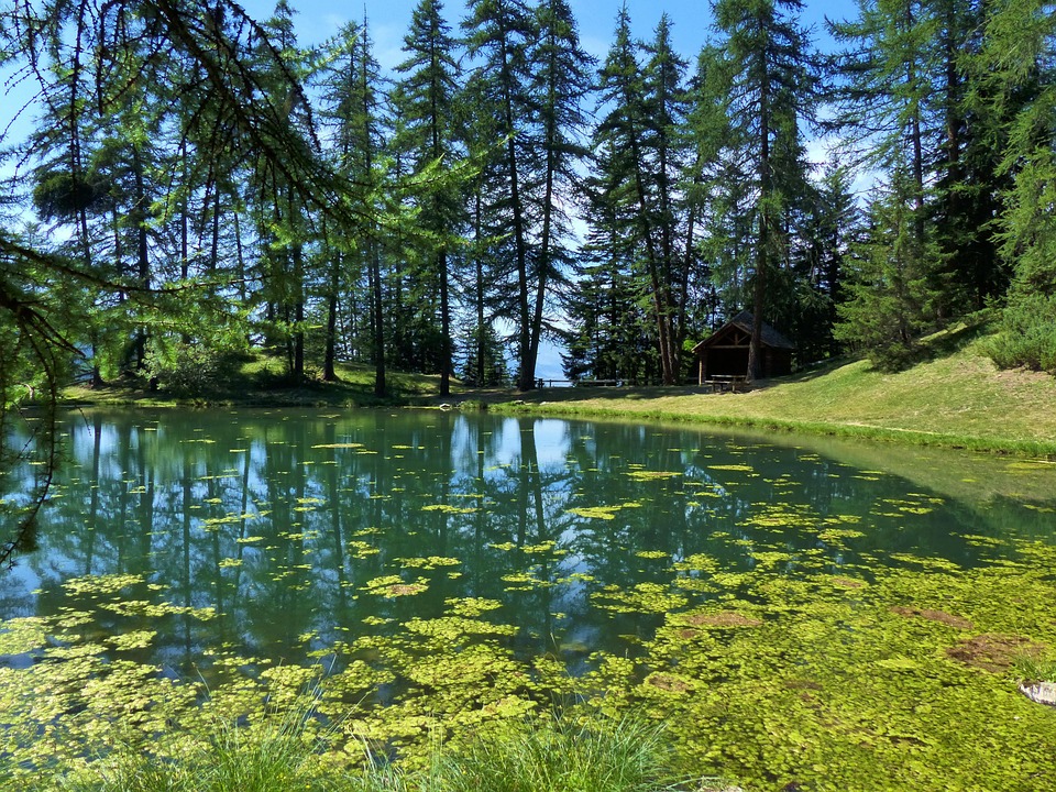 Paysage Nature Lac · Photo gratuite sur Pixabay