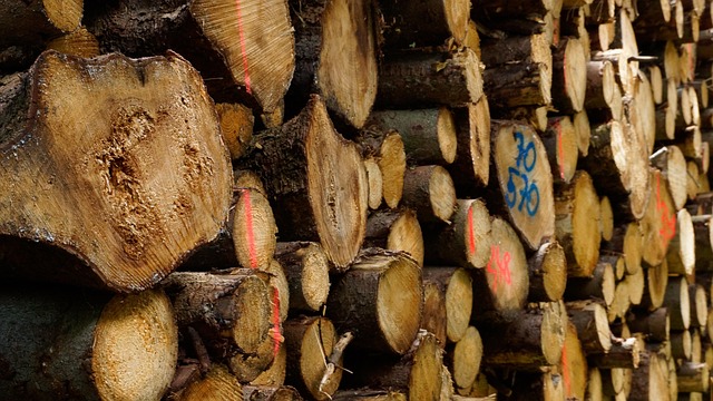 Tablas De Madera Árboles - Foto gratis en Pixabay - Pixabay