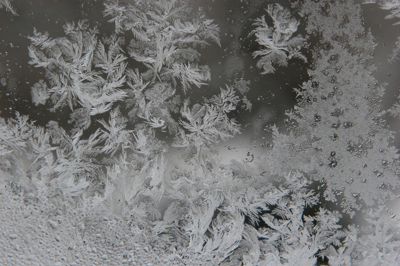 70,000+ Free Snow Flake & Snowflake Images - Pixabay