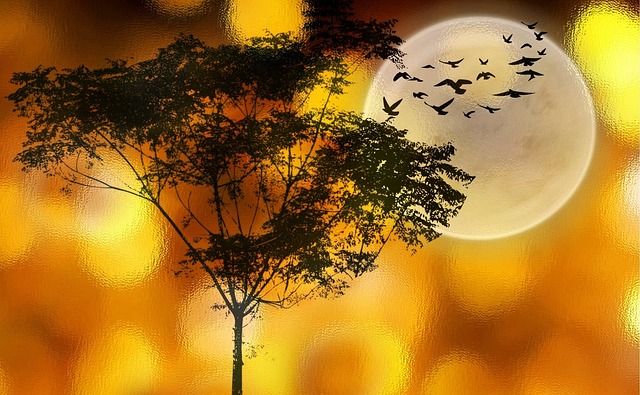 Download Against Light By Dol West Royalty-Free Stock Illustration ...