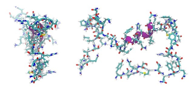 Download Adrenomedullin, Peptide, Molecule. Royalty-Free Stock ...