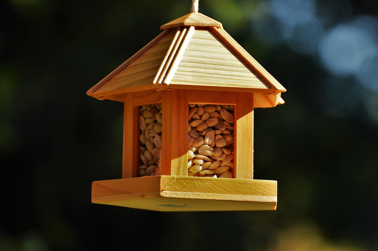 Bird Feeding Place Birds - Free photo on Pixabay